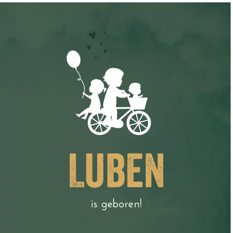 Raambord Fiets Kindjes Ballon Zoon